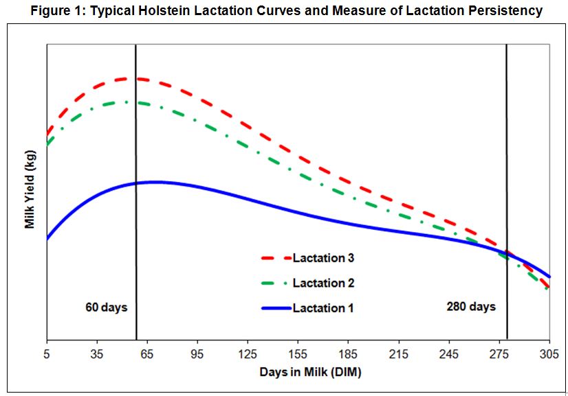 Canadian Dairy Network - Increased Profits from Higher Lactation Persistency